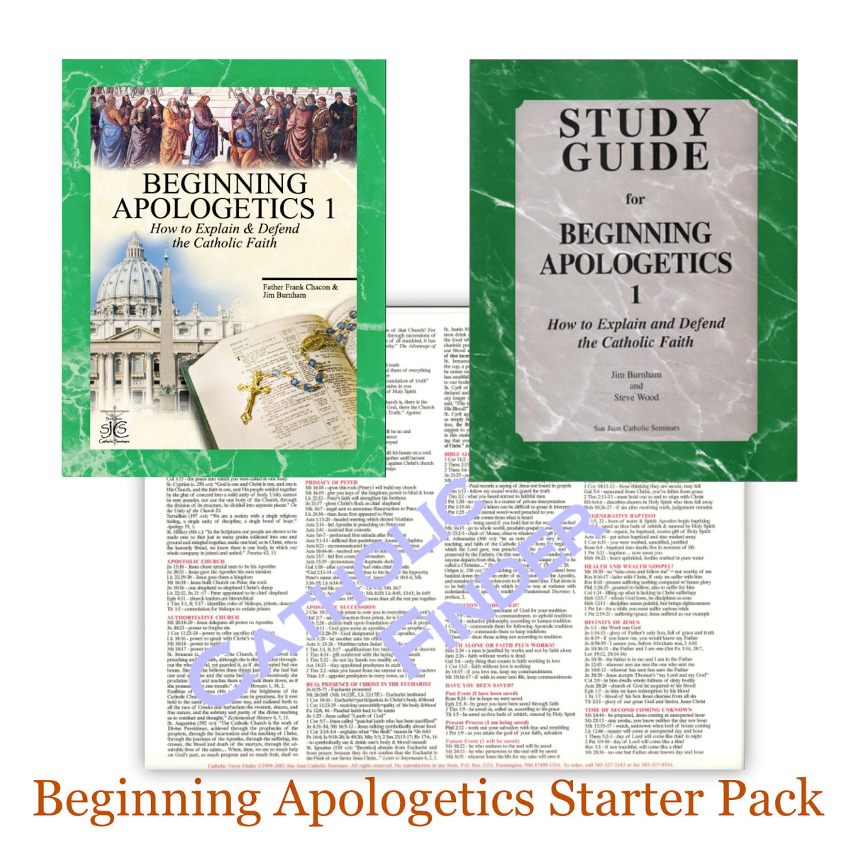 Beginning Apologetics Books | Defend the Catholic Faith – Catholic ...